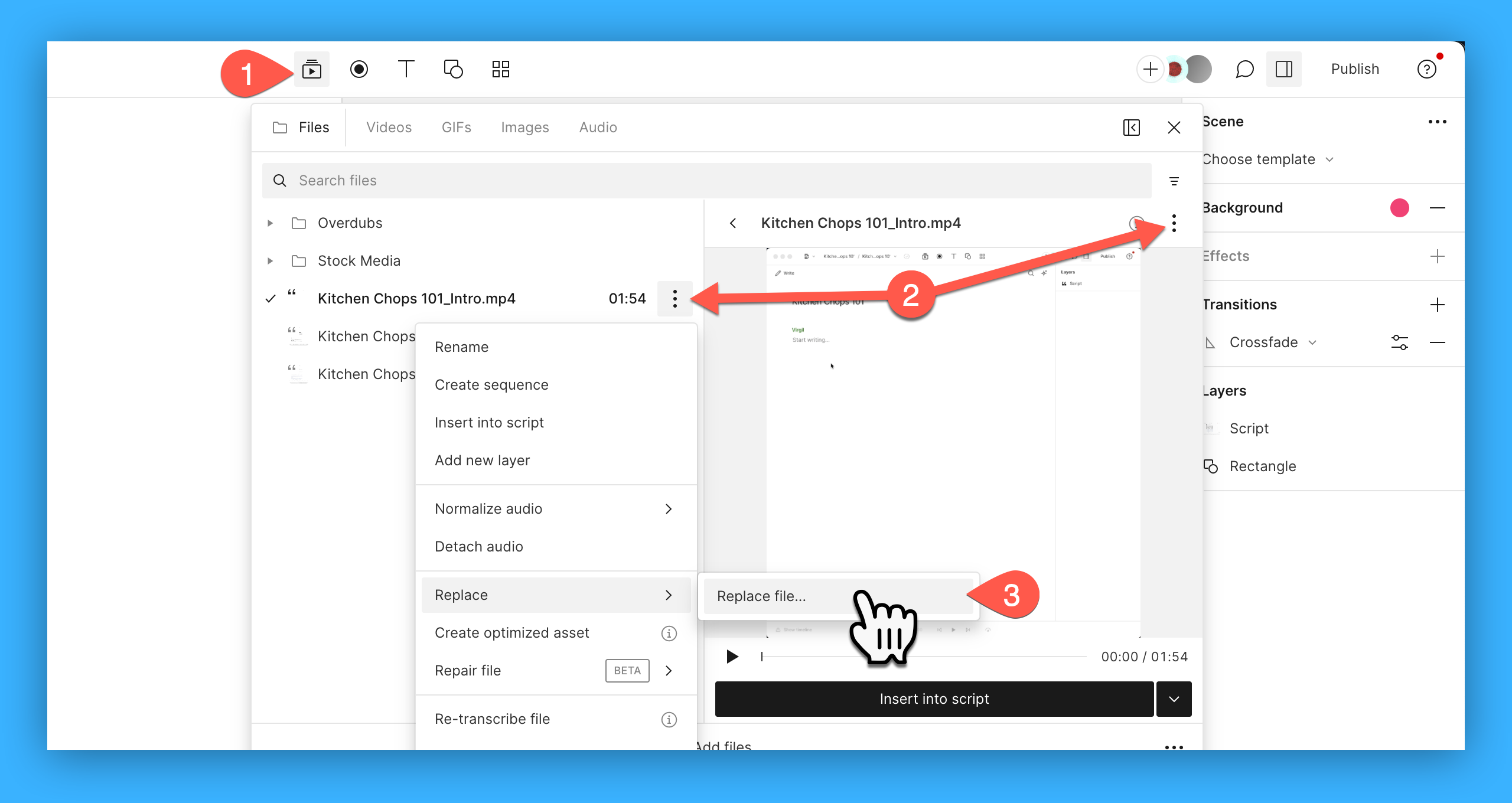 Replace file – Descript Help