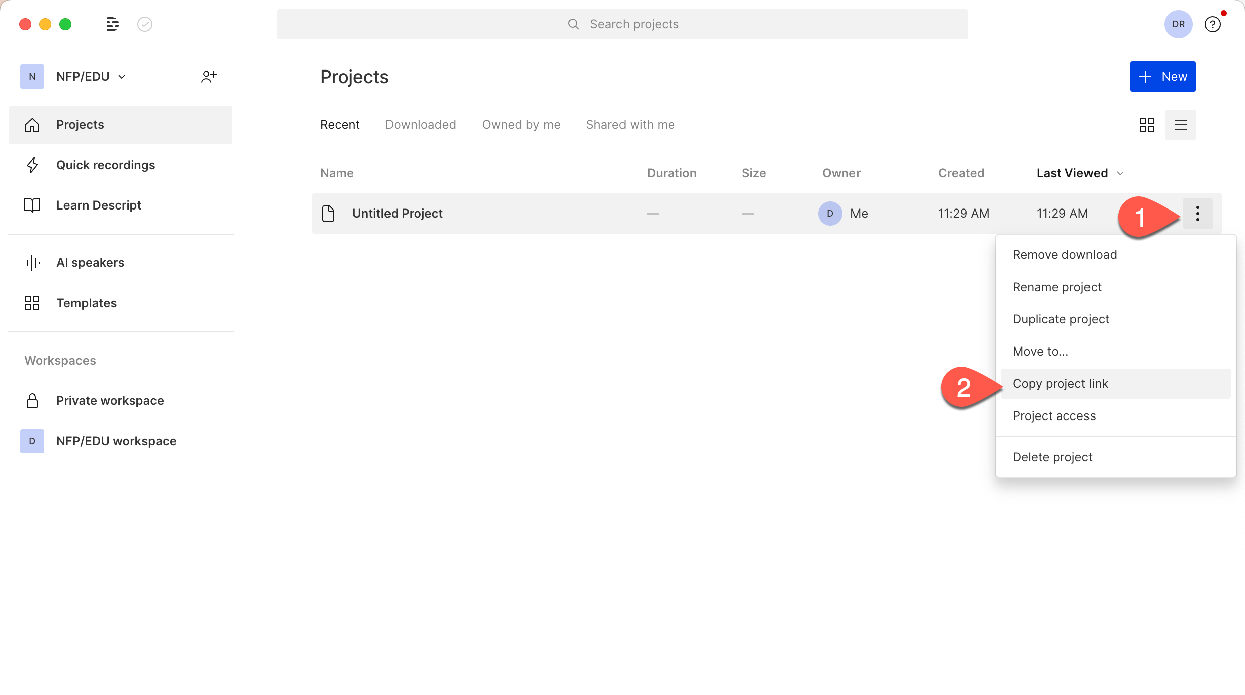 Project Links Descript Help 