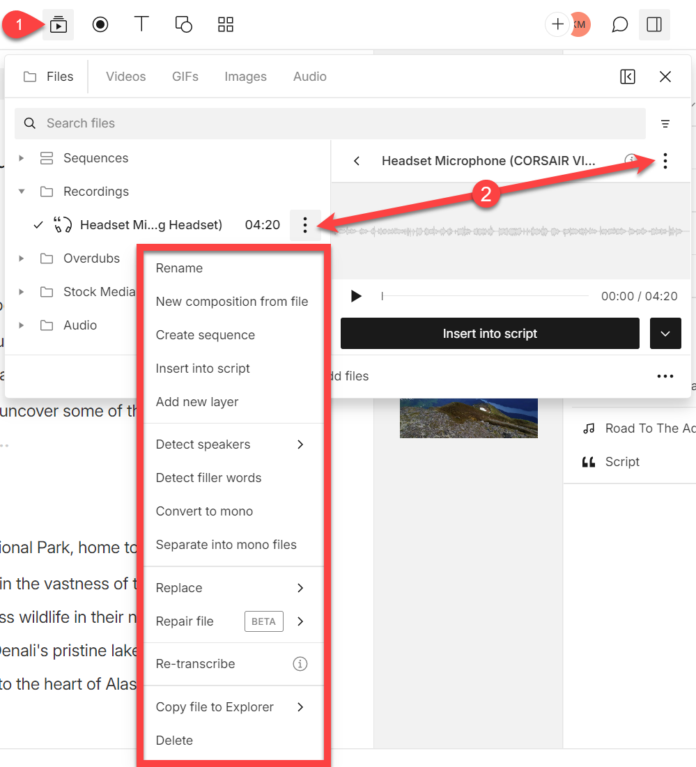 Project file actions – Descript Help