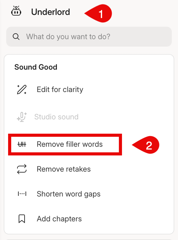 Filler words – Descript Help