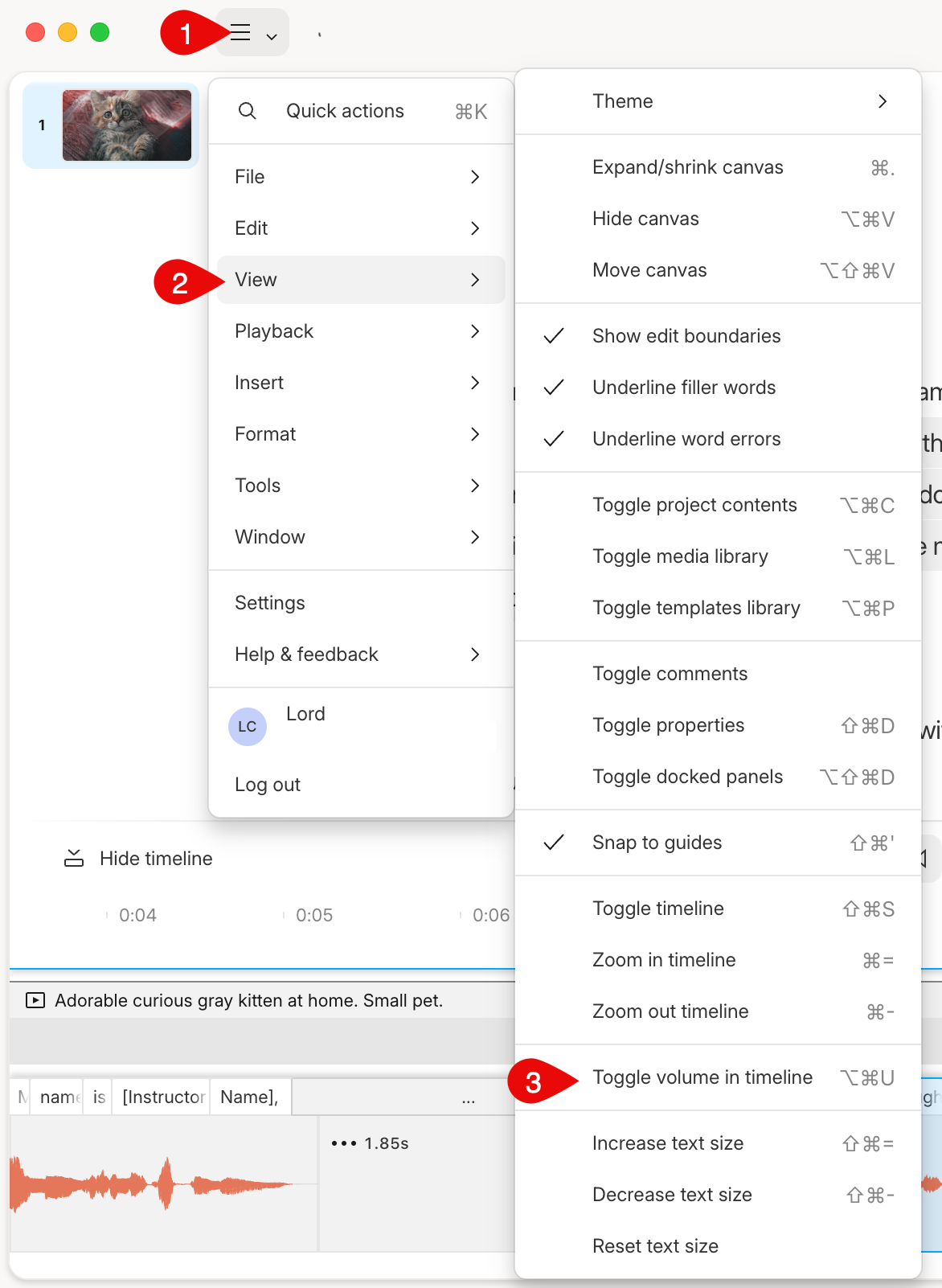 View and monitor audio levels of your composition – Descript Help