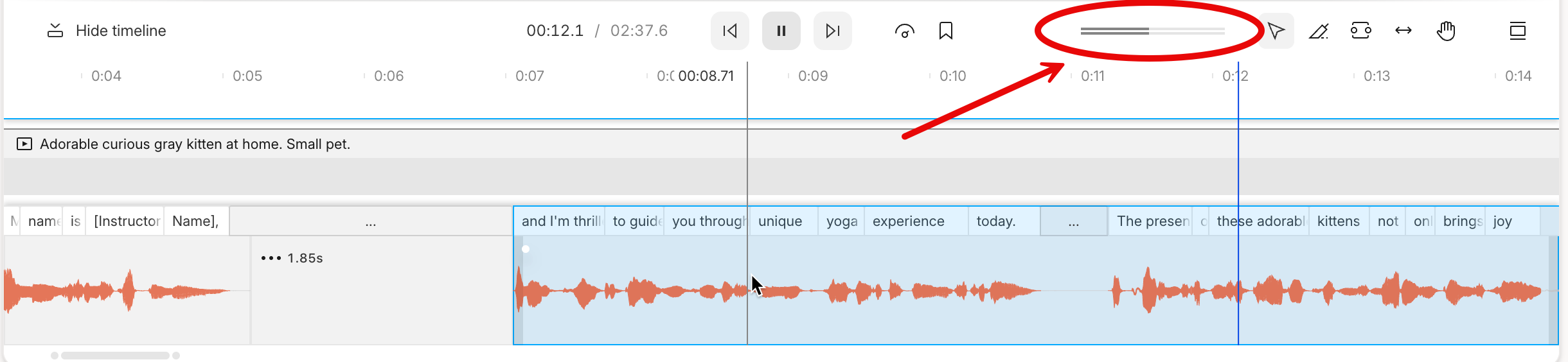 View and monitor audio levels of your composition – Descript Help
