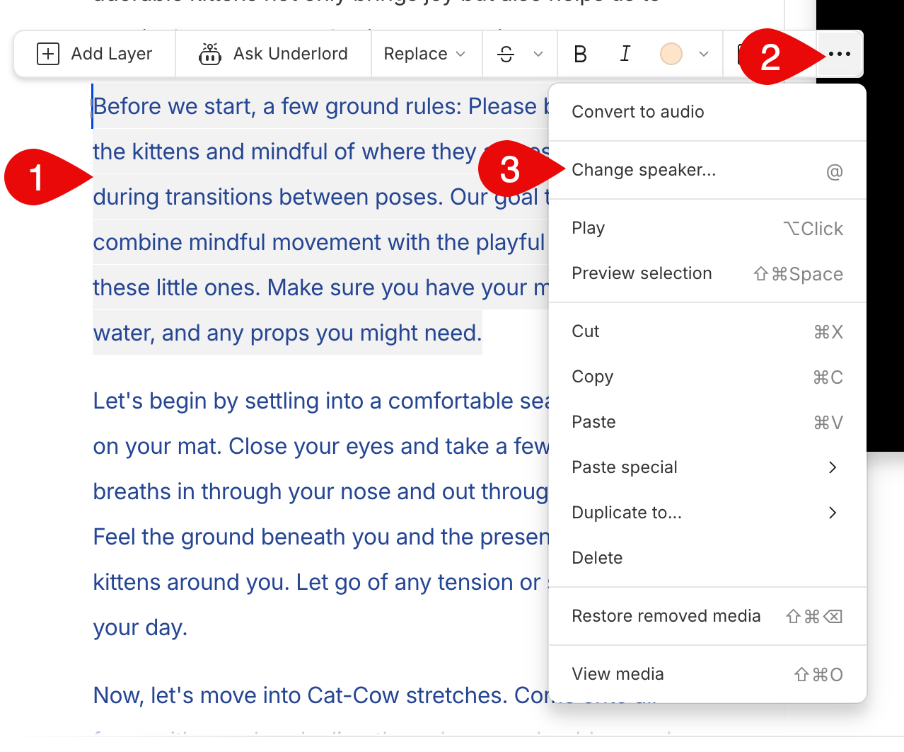 Speakers – Descript Help