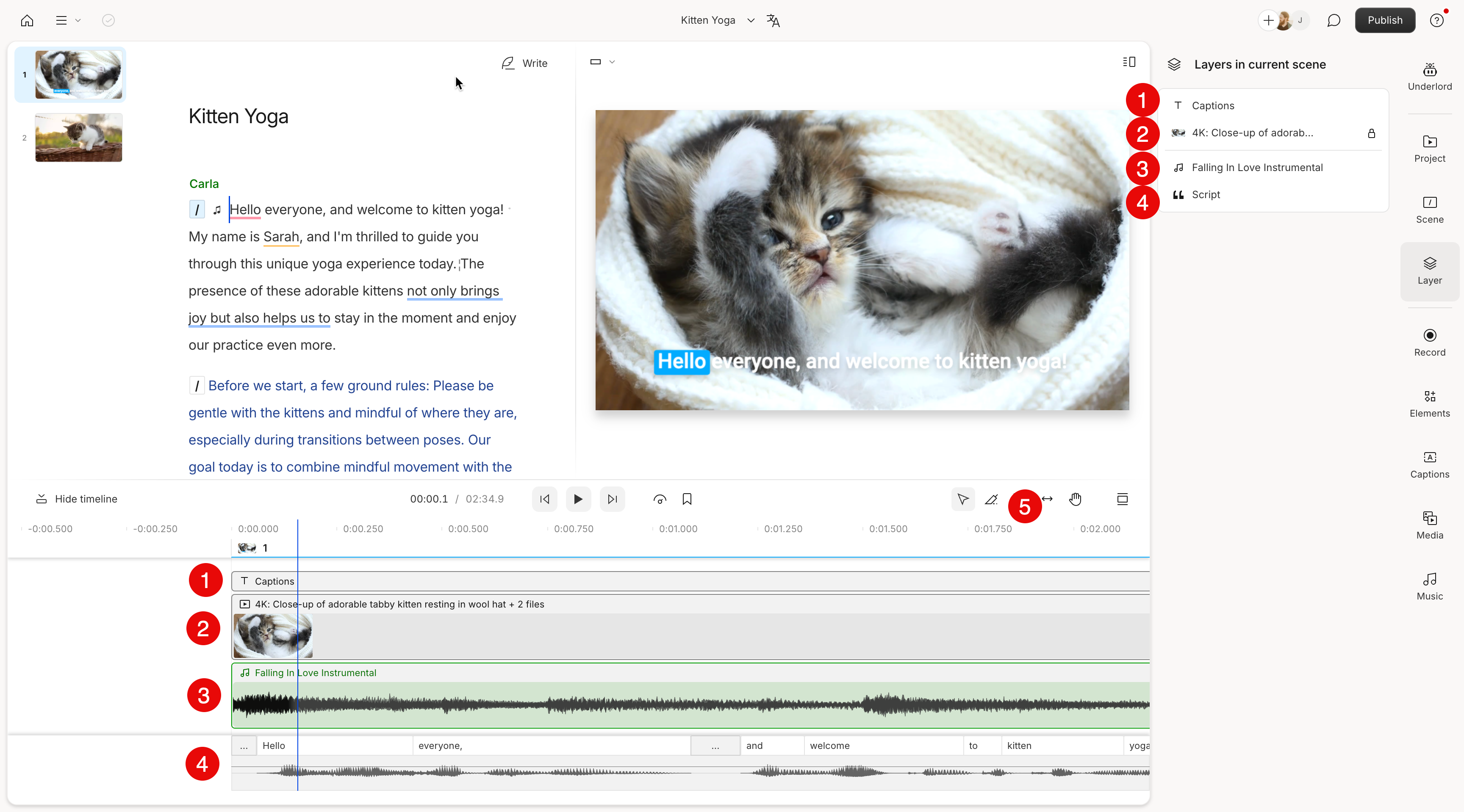 Layer visibility and order – Descript Help