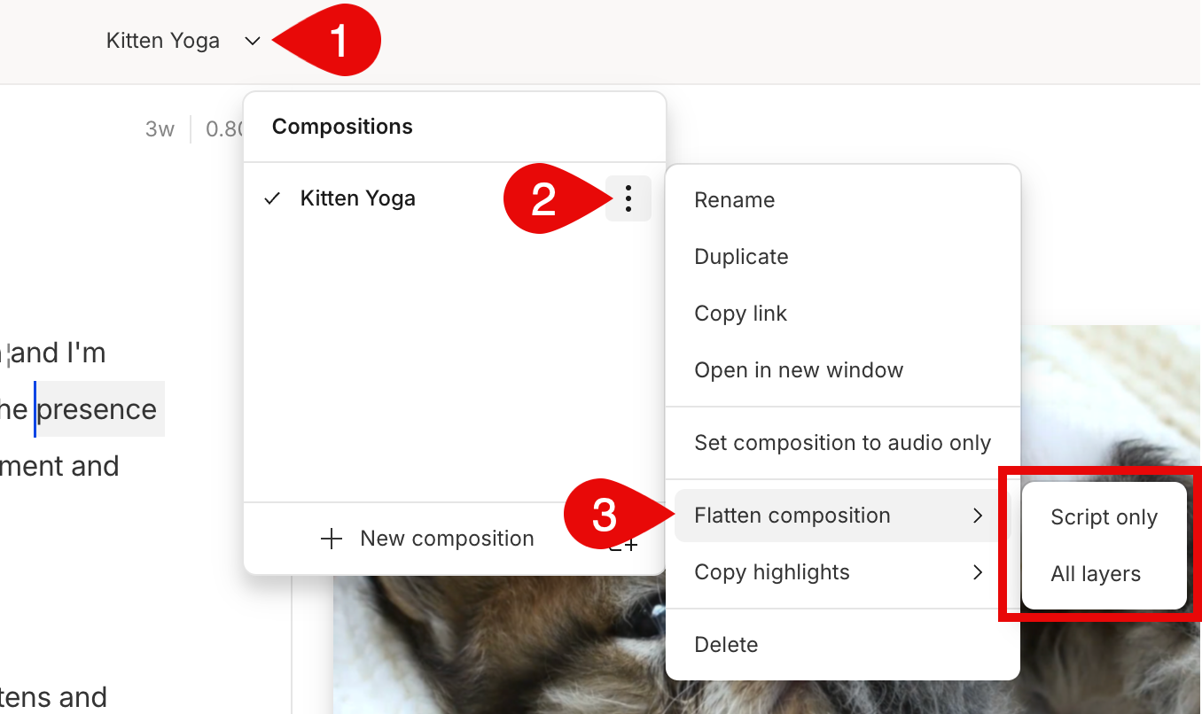 Flatten tracks – Descript Help