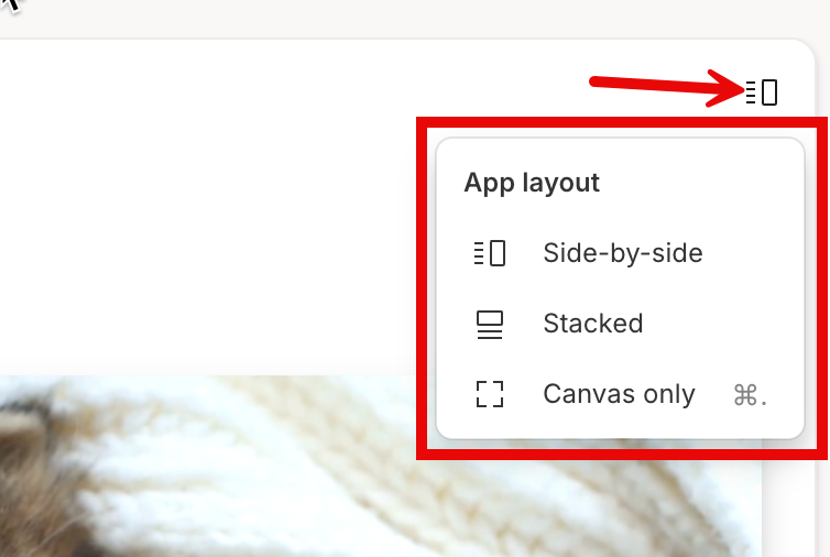 Customize the editor – Descript Help