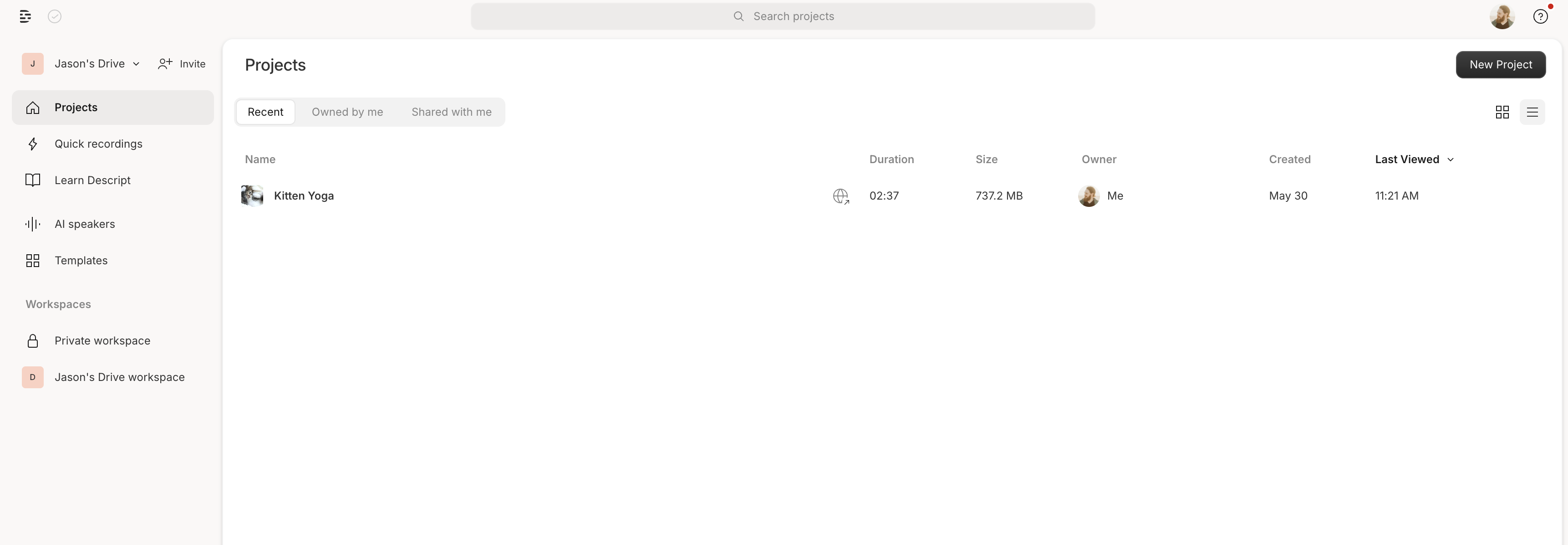 Drive view – Descript Help