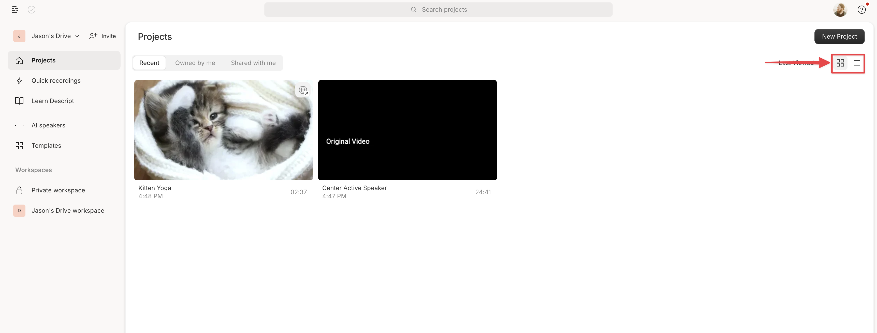 Drive view – Descript Help