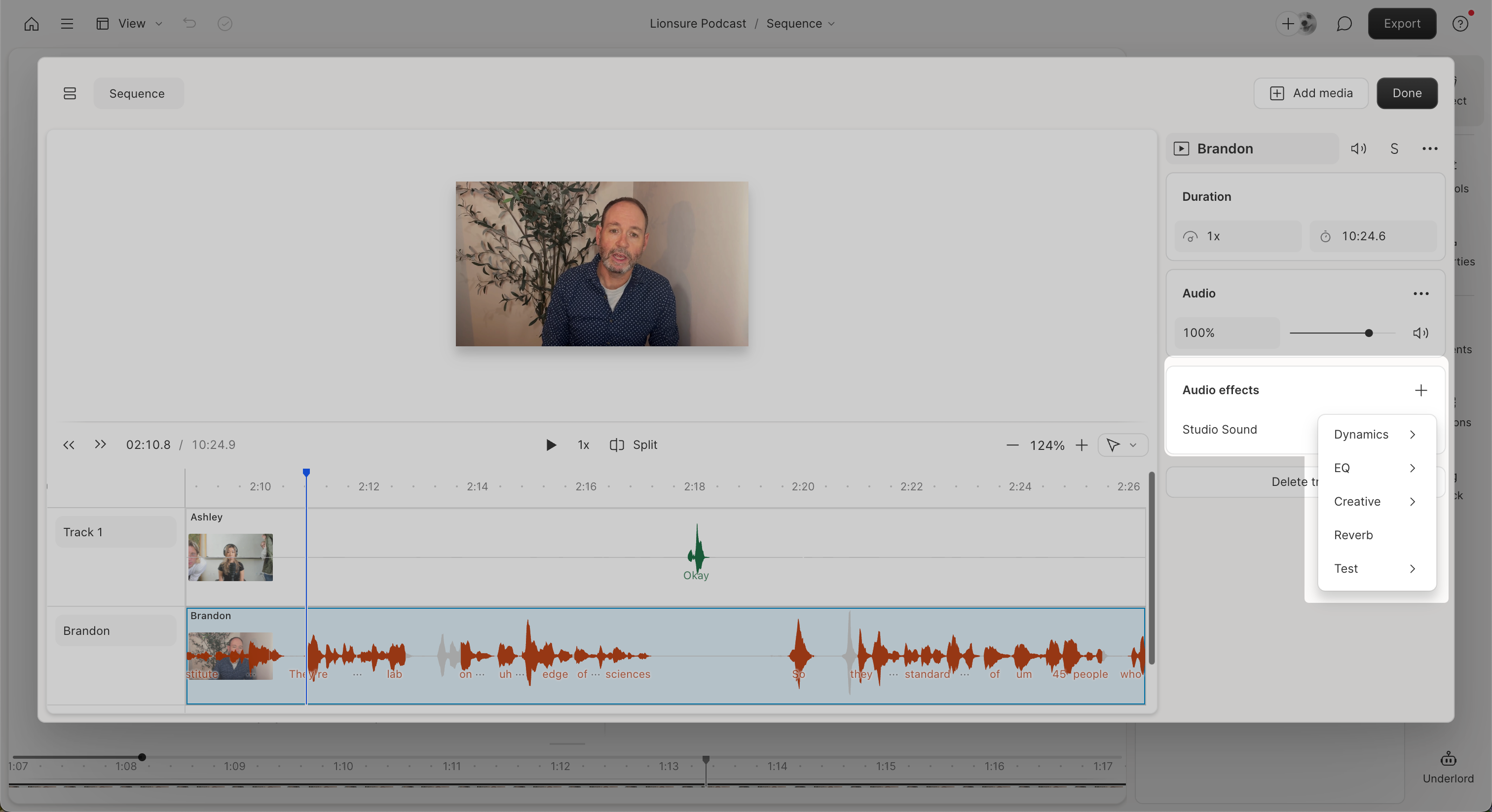 Applying and adjusting effects – Descript Help
