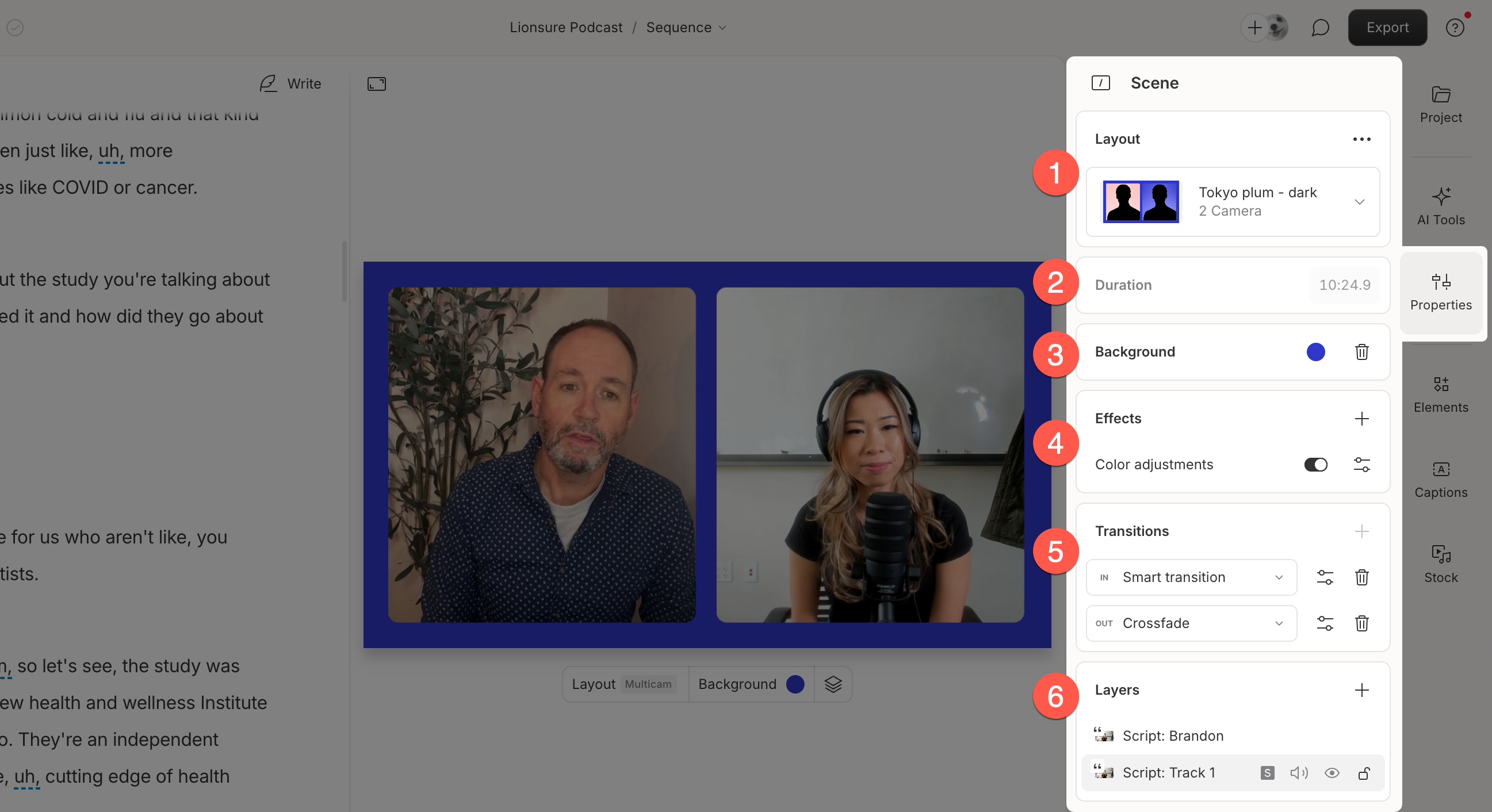 Scene properties – Descript Help
