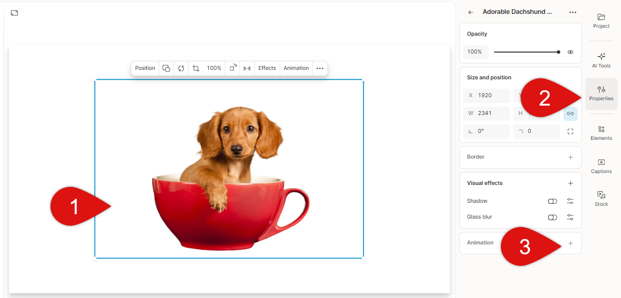 Apply and adjust animations – Descript Help